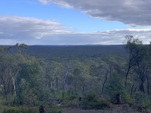 Best Hikes and Trails in Wandoo National Park | AllTrails