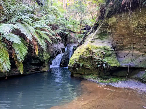 Best Hikes and Trails in Newnes State Forest | AllTrails