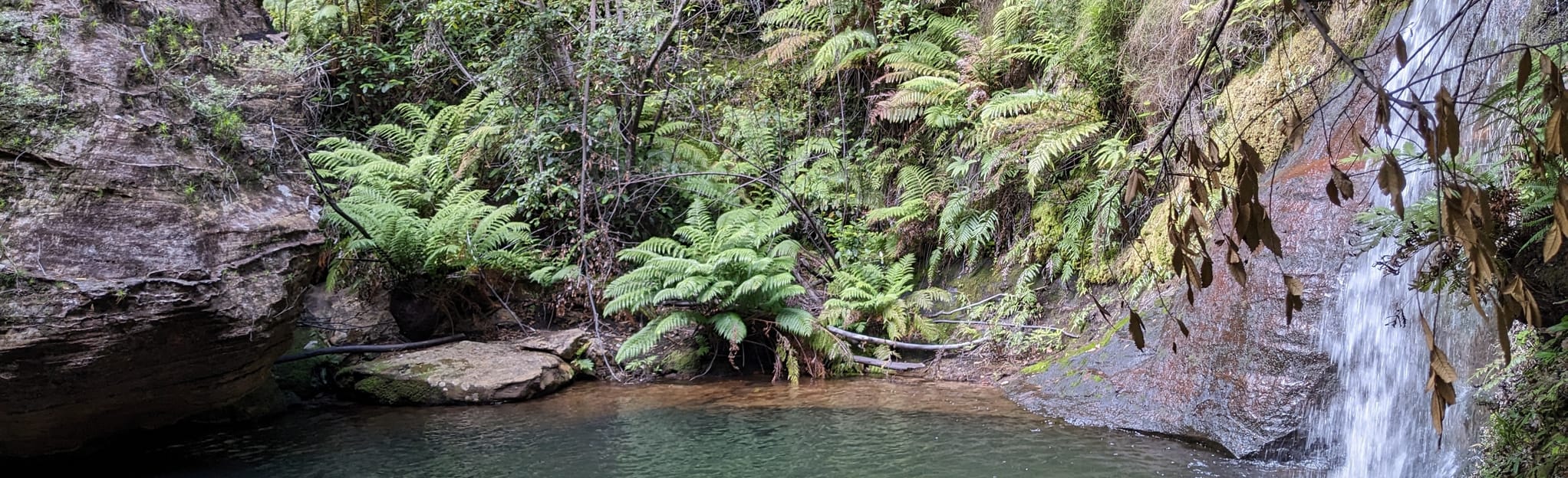Deep Pass Canyon Loop: 21 Reviews, Map - New South Wales, Australia ...