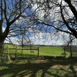 Ham Hill Circular, Somerset, England - 66 Reviews, Map | AllTrails