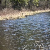 Benedict Pond Loop Trail, Massachusetts - 640 Reviews, Map | AllTrails