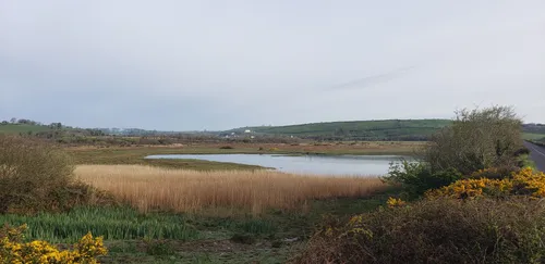 Best Hikes and Trails in Clogheen Marsh Nature Reserve | AllTrails