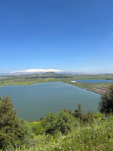 2023 Best Camping Trails in Majdal Shams | AllTrails