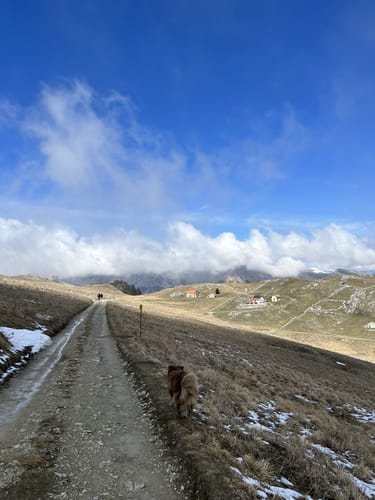2023 Best 10 Trails and Hikes in Fregona | AllTrails