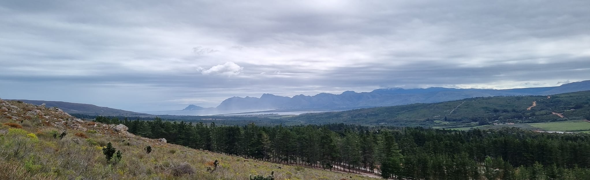 Onrus River - Black Route Section MTB: 2 Fotos - Westkap, Südafrika ...