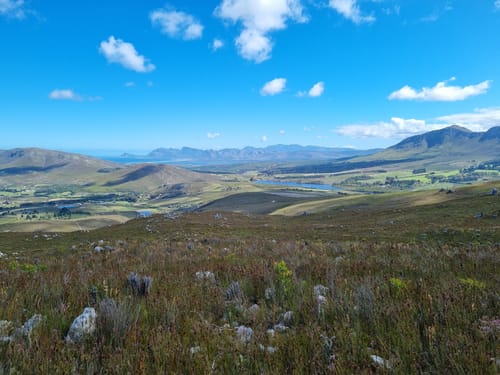 2023 Best Waterfall Trails in Fernkloof Nature Reserve | AllTrails