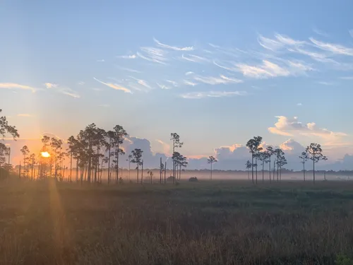 Best Hikes and Trails in Pine Glades Natural Area | AllTrails