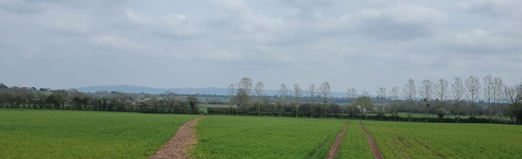 Coombe Hill Nature Reserve Circular, Gloucestershire, England - 14 ...