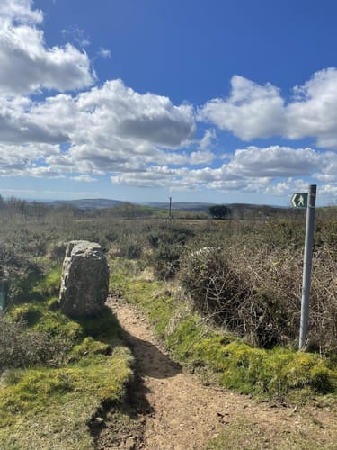 Beste wandelingen en routes in Cwm Clydach Nature Reserve | AllTrails