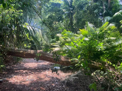 Best Hikes and Trails in Hutan Lipur Pulau Pangkor | AllTrails