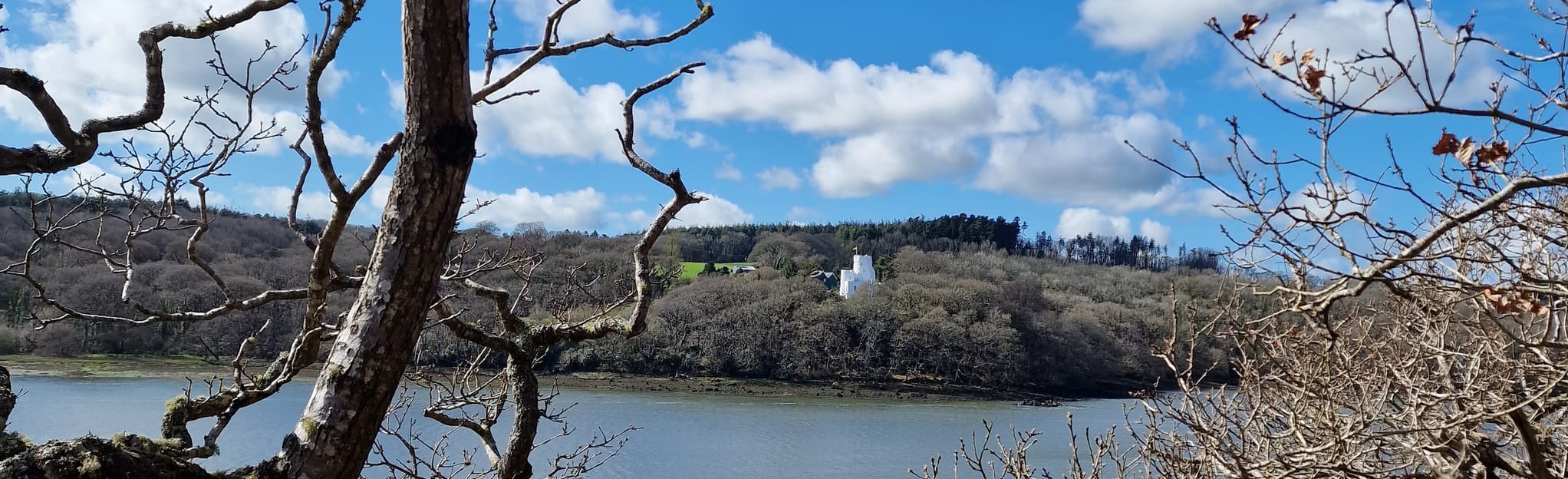 Lawrenny Wood Circular: 118 foto's - Pembrokeshire, Wales | AllTrails