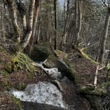 Devil's Path Red Trail, New York - 110 Reviews, Map | AllTrails