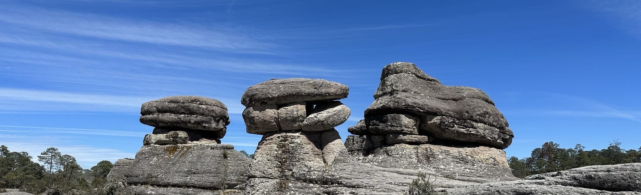 Parque Natural Mexiquillo, Durango, Mexico - 8 Reviews, Map | AllTrails