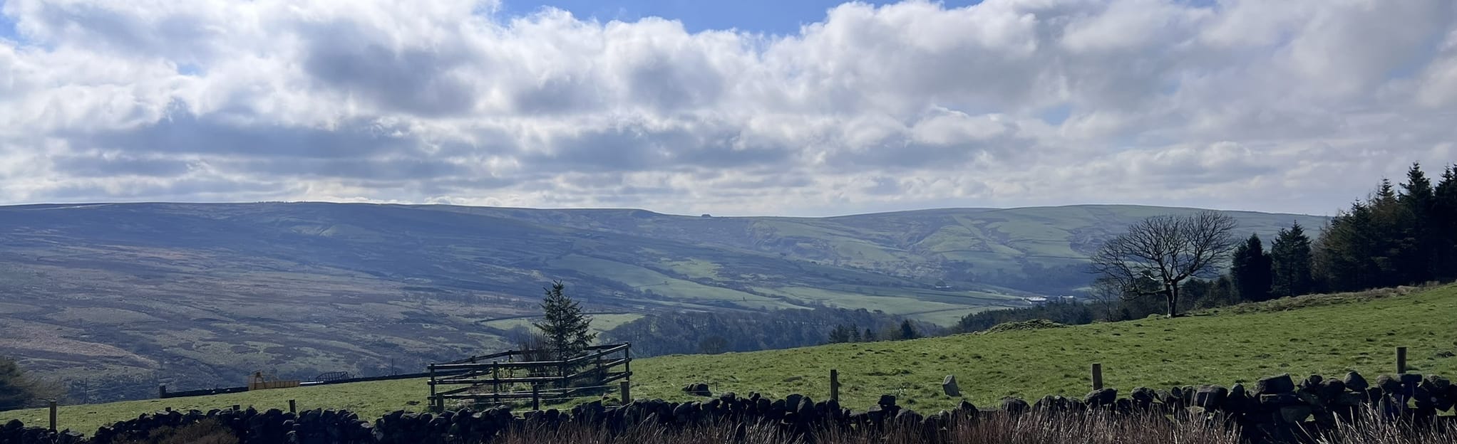 Ramshaw Rocks and Black Brook Nature Reserve, Staffordshire, England ...