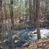 Old Mill Trail, Massachusetts - 314 Reviews, Map | AllTrails