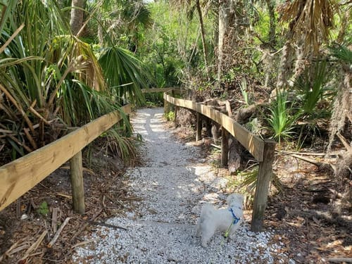 Best Hikes and Trails in Rye Preserve | AllTrails
