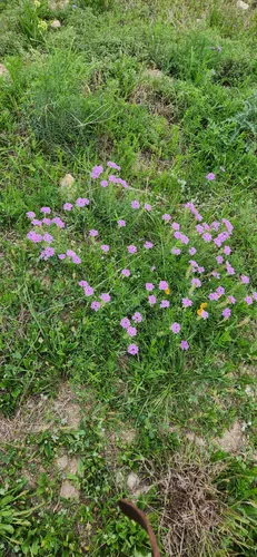 Best Hikes and Trails in Parrie Haynes Ranch | AllTrails