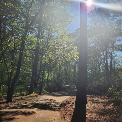 Best Hikes and Trails in Rabbit Hill Park | AllTrails