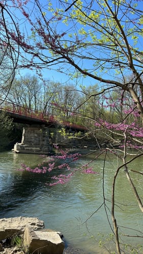 Best Hikes and Trails in Marott Park and Nature Preserve | AllTrails