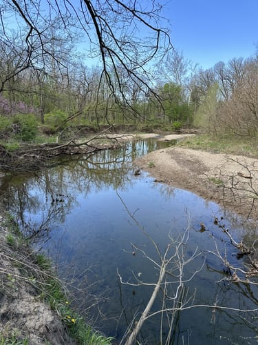 Best Hikes and Trails in Marott Park and Nature Preserve | AllTrails