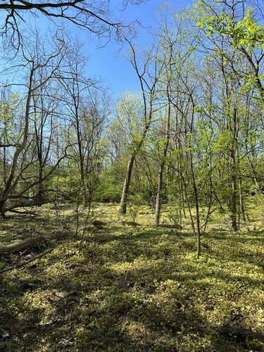 Best Hikes and Trails in Marott Park and Nature Preserve | AllTrails