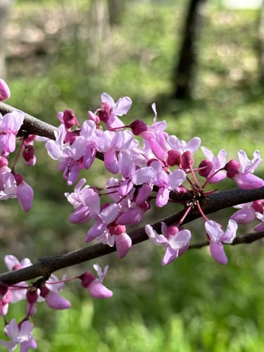 Best Hikes and Trails in Marott Park and Nature Preserve | AllTrails