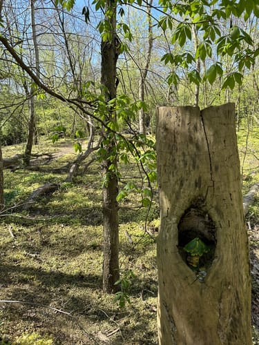 Best Hikes and Trails in Marott Park and Nature Preserve | AllTrails