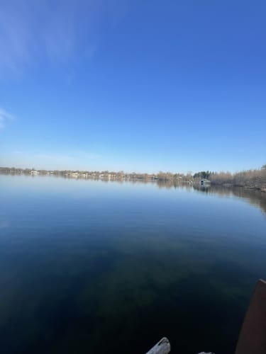 Best Hikes and Trails in Lake Wilcox Park | AllTrails