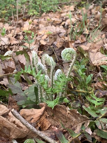 Best Hikes and Trails in Hashawha Environmental Center | AllTrails