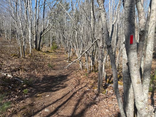 2023 Best trails in Shaw Wilderness Park | AllTrails