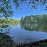 Eagle Point Trail, North Carolina - 236 Reviews, Map | AllTrails