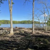 Eagle Point Trail, North Carolina - 236 Reviews, Map | AllTrails