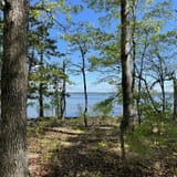 Eagle Point Trail, North Carolina - 236 Reviews, Map | AllTrails