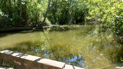 Best Hikes and Trails in Buda | AllTrails