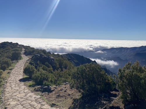 Madeira Nature Park – najlepsze szlaki biwakowe w 2023 r. | AllTrails