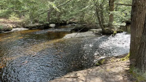 Best 10 Hikes and Trails in Bear Brook State Park | AllTrails