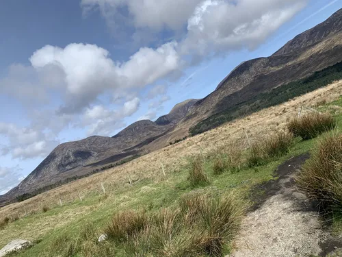 10 Best Forest Trails in Northern Ireland | AllTrails