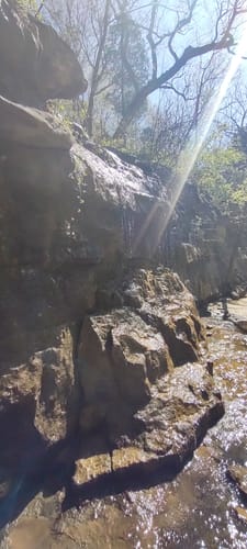 Best Hikes and Trails in Nine Penny Branch Nature Preserve | AllTrails