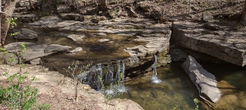 Best Hikes and Trails in Nine Penny Branch Nature Preserve | AllTrails