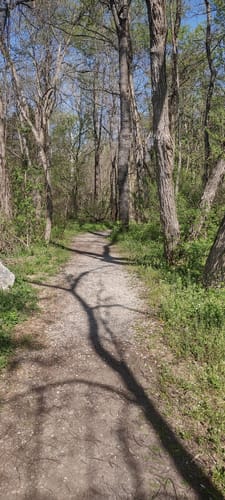 Best Hikes and Trails in Nine Penny Branch Nature Preserve | AllTrails
