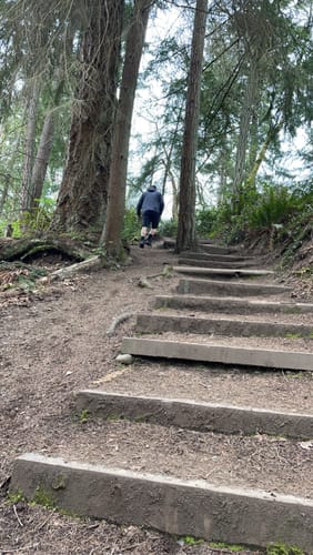 2023 Best Trail Running Trails in Dash Point State Park | AllTrails