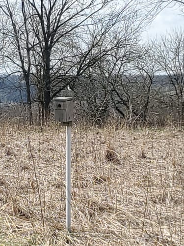 Best Hikes and Trails in Forest Run Wildlife Preserve Metropark | AllTrails