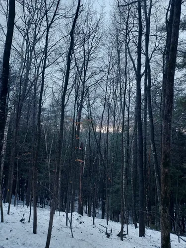 Best Hikes and Trails in Balch Hill Natural Area | AllTrails