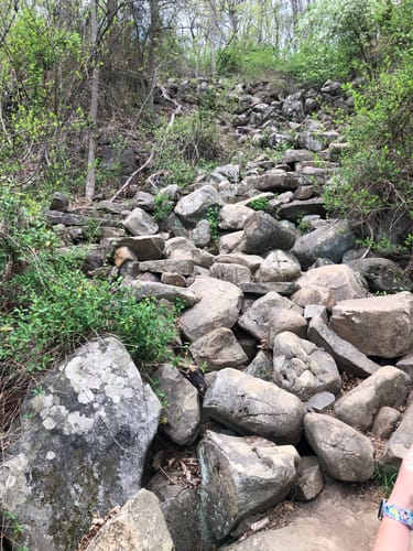 2023 Best Trail Running Trails in Ted Stiles Preserve at Baldpate ...