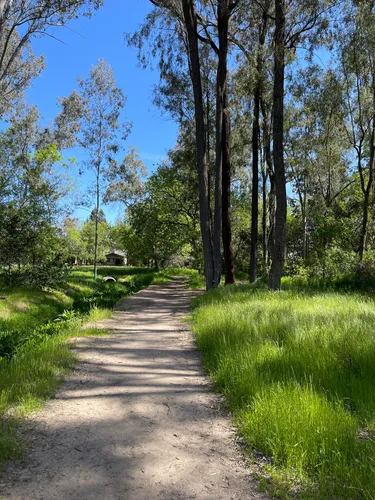 10 Best Trails and Hikes in Fair Oaks | AllTrails