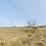 Loch Thom Loop, Inverclyde, Scotland - 39 Reviews, Map | AllTrails