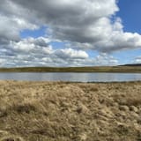 Loch Thom Loop, Inverclyde, Scotland - 39 Reviews, Map | AllTrails