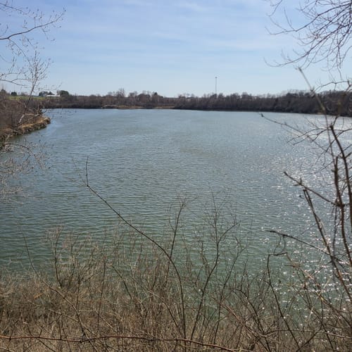 Best Hikes and Trails in Big Rock Forest Preserve | AllTrails