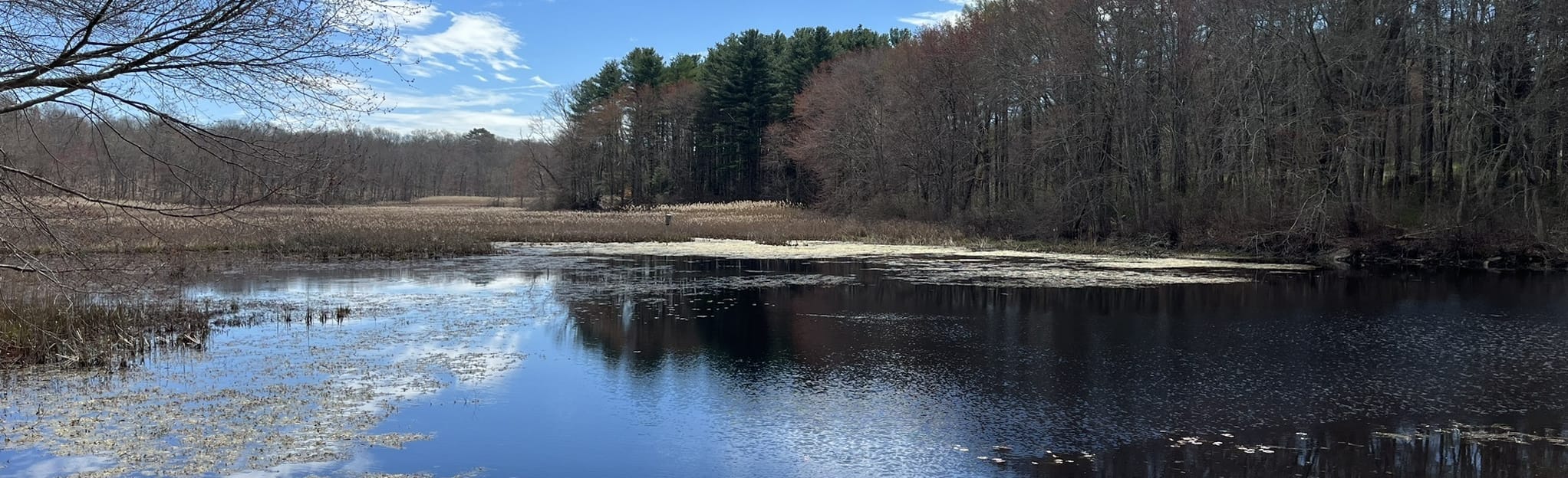 Pachuag Trail and Nehantic Trail Loop, Connecticut - 102 Reviews, Map ...