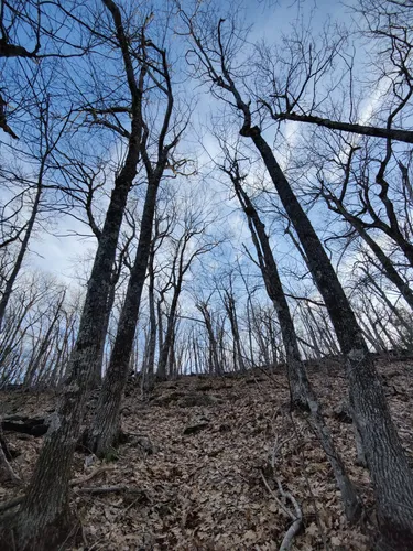 Best Hikes and Trails in Susan B. Minns Sanctuary | AllTrails